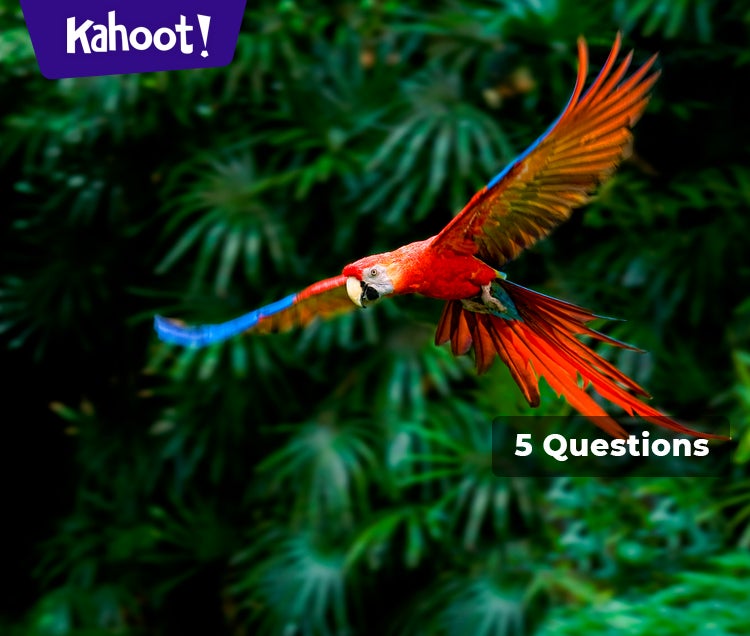 Week 15-Parrot Over Puerto Rico Review - Kahoot! Quiz