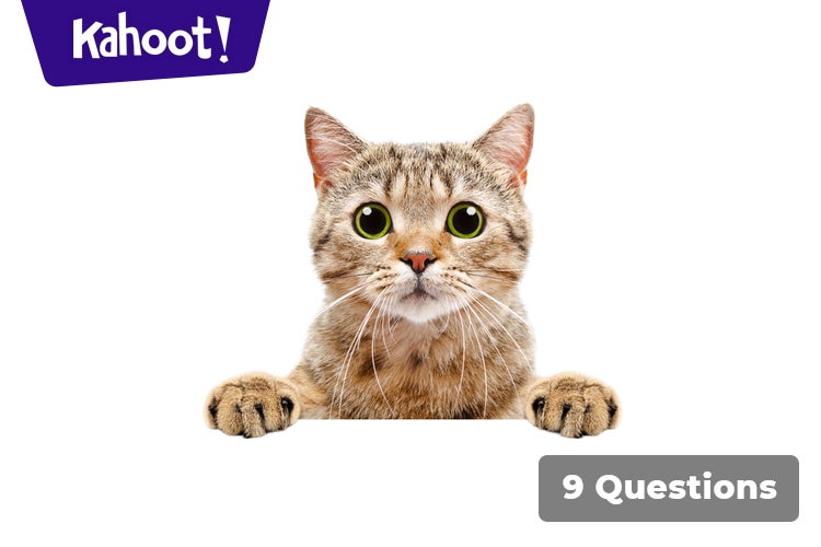 Animals - Kahoot! Quiz