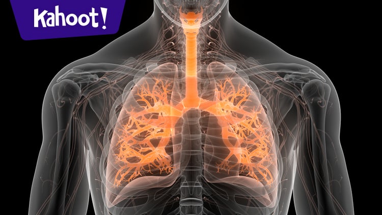 AH3 Respiratory - Kahoot! Quiz