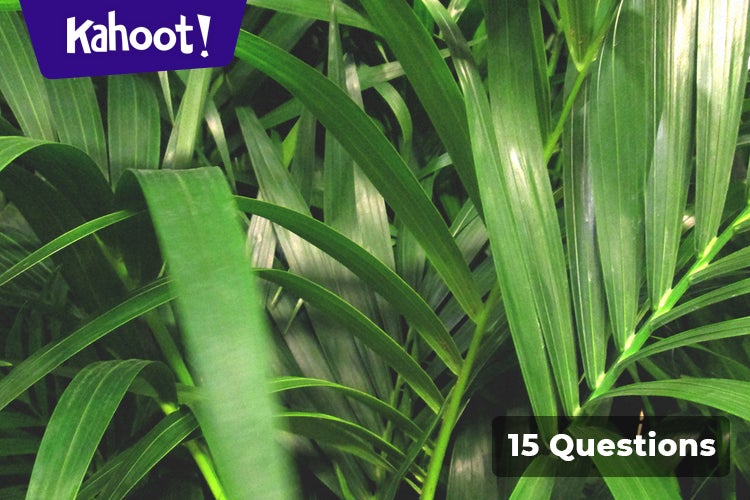 Duplicate of Flowering & Nonflowering Plants - Kahoot! Quiz