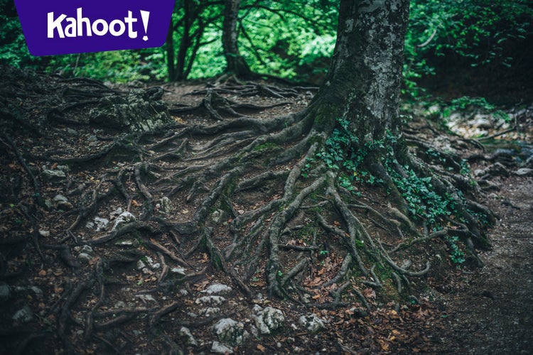 Greek & Latin Roots: cogn, doc, mem, ology - Kahoot! Quiz