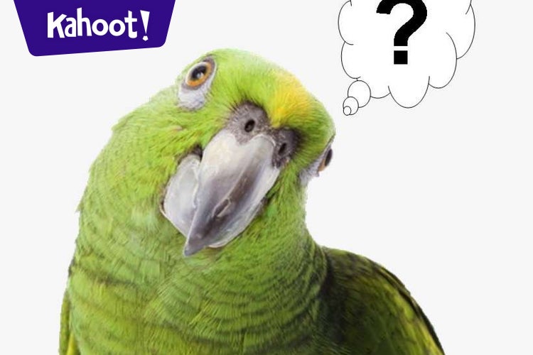 Reptiles, Mammals, and Birds - Kahoot! Quiz