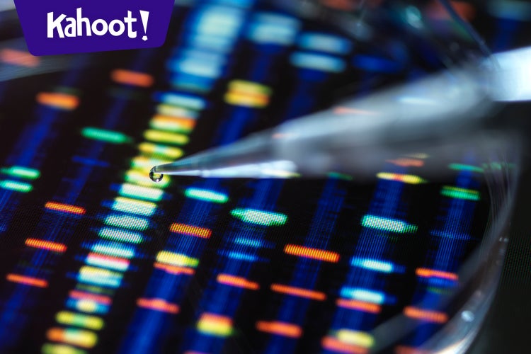 Les choix moraux - Kahoot! Quiz