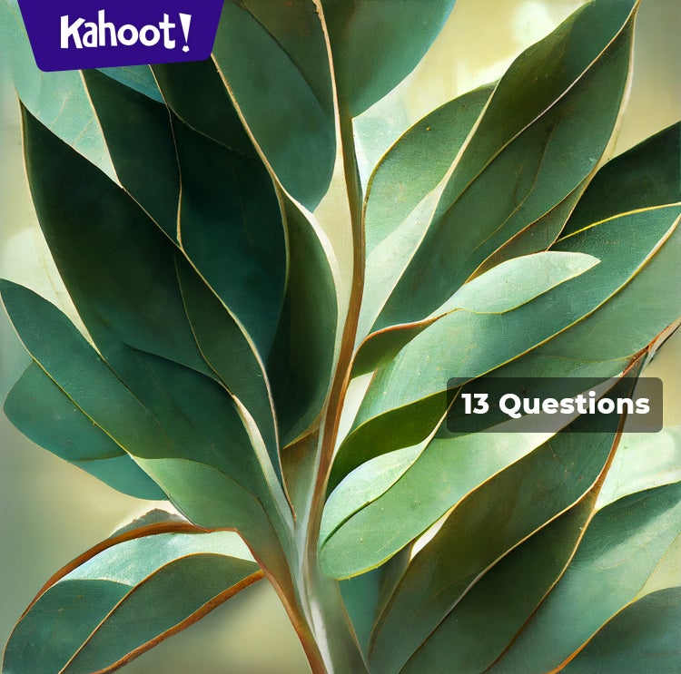 PHOTOSYNTHESIS / CELLULAR RESPIRATION - Kahoot! Quiz