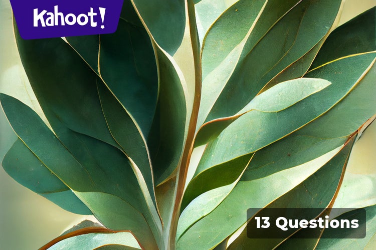 ESL Vocabulary - Plants - Kahoot! Quiz