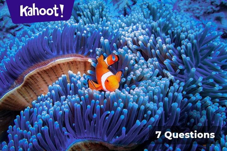 B1 Reading: Ocean Conservation and Marine Life - Kahoot! Quiz