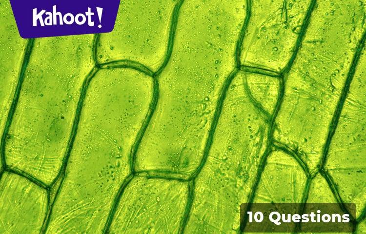 Cell structure OAB - Kahoot! Quiz