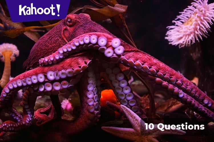 Short O, as in octopus - Kahoot! Quiz