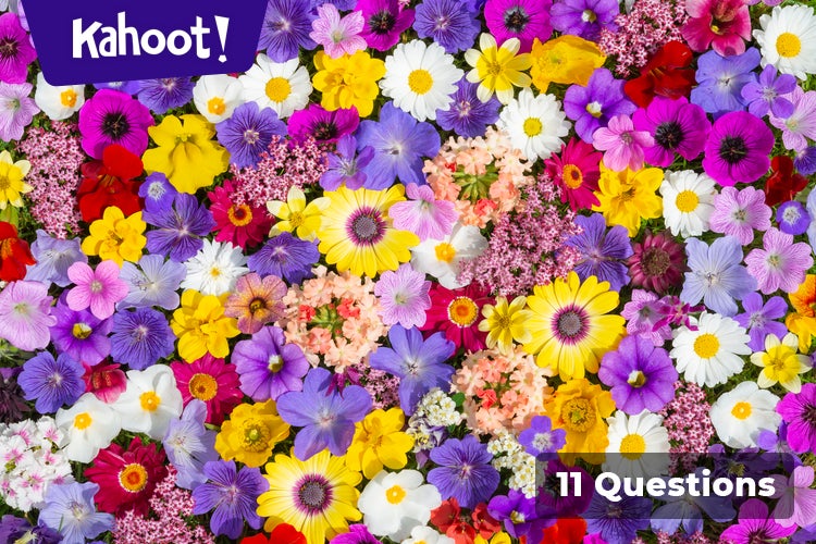 Grammar in Bloom: Spring-Themed Sentence Fixes - Kahoot! Quiz