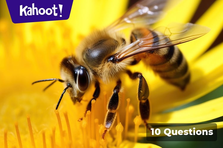 Beekeeping 101: Pollinators - Kahoot! Quiz