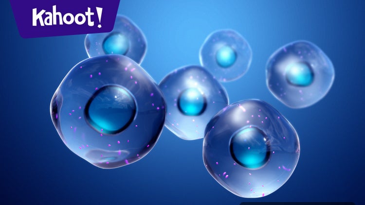 Cell Culture Part 2 - What do cells need? - Kahoot! Quiz