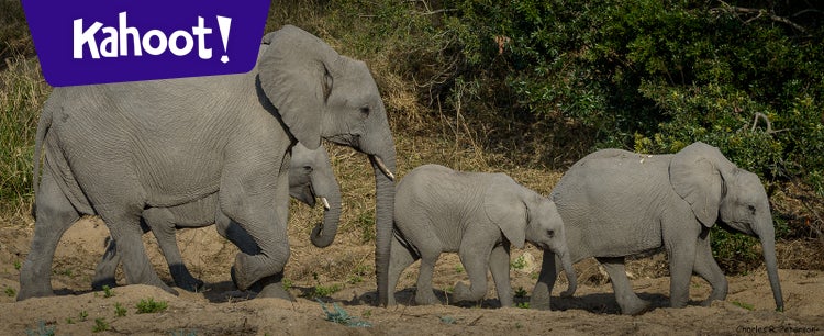 Family Relationships - Kahoot! Quiz