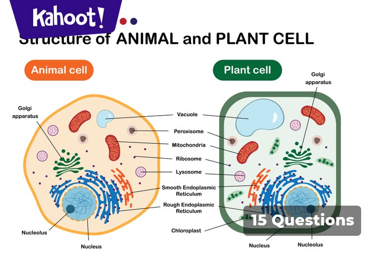 Quarter 2 - Topic 2: Animal Cell & Plant Cell - Quiz No. 2 - Kahoot! Quiz