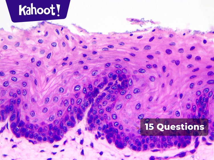Anatomy : Histology - Kahoot! Quiz