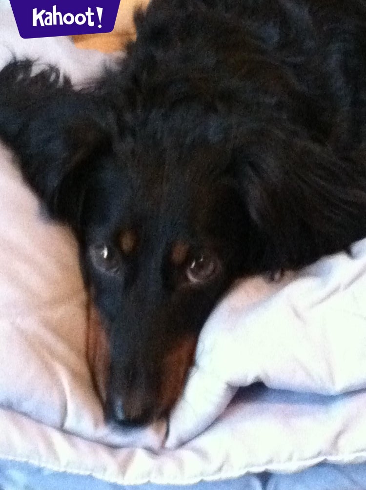 Duplicate of Duplicate of Realidades 3 Ch 1 Preterite vs. Imperfect ...