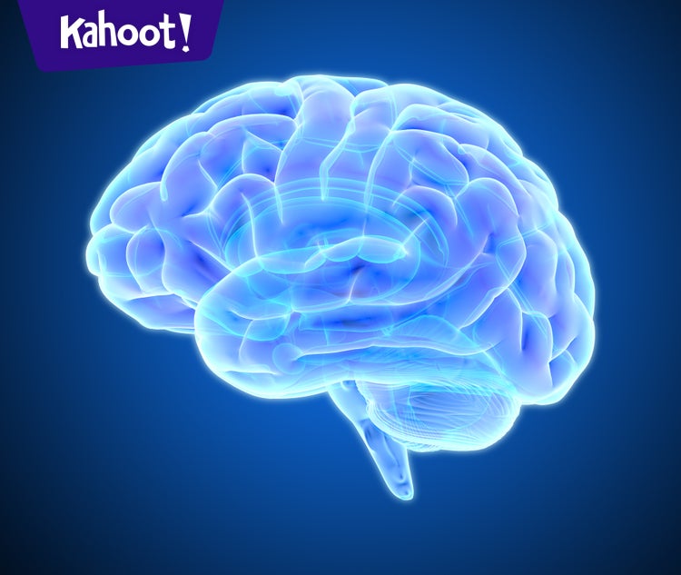 BIO 109 Brain - Kahoot! Quiz