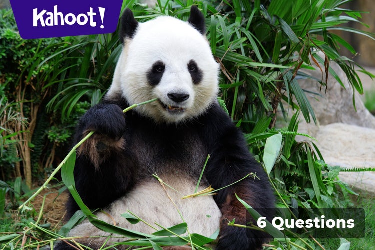 All About Animals Around the World - Kahoot! Quiz