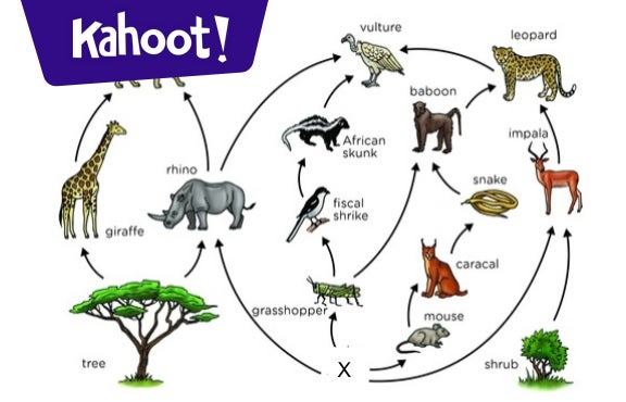 Review for Ecology Exam - Kahoot! Quiz