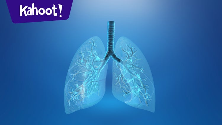 Respiratory system 01\02 - Kahoot! Quiz
