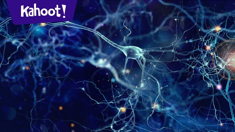 Information Processing Review - Kahoot! Quiz