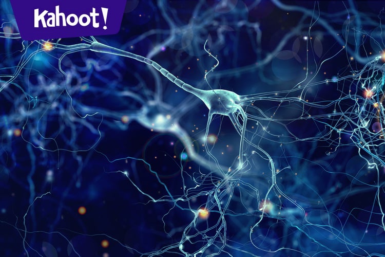 Brain Biology - Kahoot! Quiz