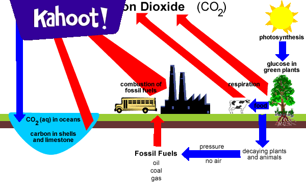Carbon and Nitrogen Cycles - Kahoot! Quiz