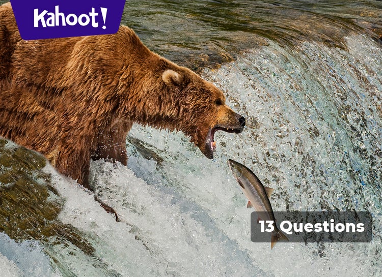 Verb translation practice (indicative and participles) - Kahoot! Quiz