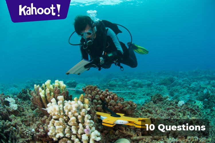 Science for Sustainable Oceans - Kahoot! Quiz