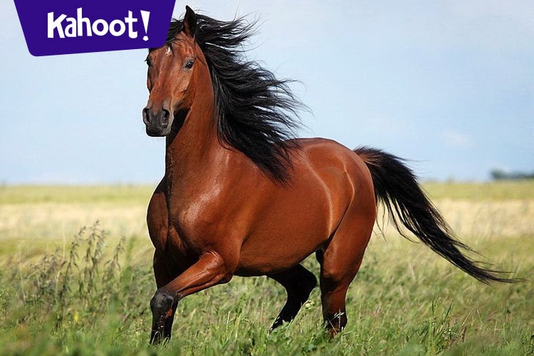 Spotlight 2 Module 3 - Kahoot! Quiz