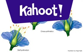 Plant Reproduction - Kahoot! Quiz