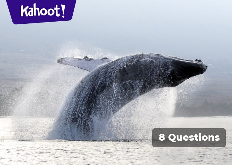 Past Simple and Progressive - AZAR Blue Ch 1 - Kahoot! Quiz