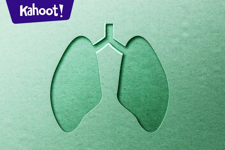 B3.1 Gas Exchange-Respiratory System - Kahoot! Quiz