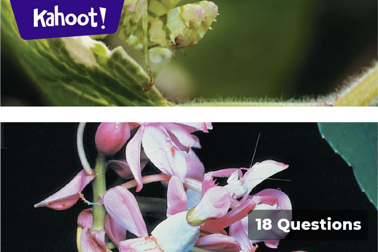 APB: Natural Selection + Other Forms of Evolution - Kahoot! Quiz