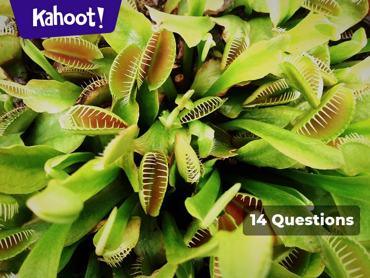 Carnivorous Plant - UNIT 4 - Kahoot! Quiz