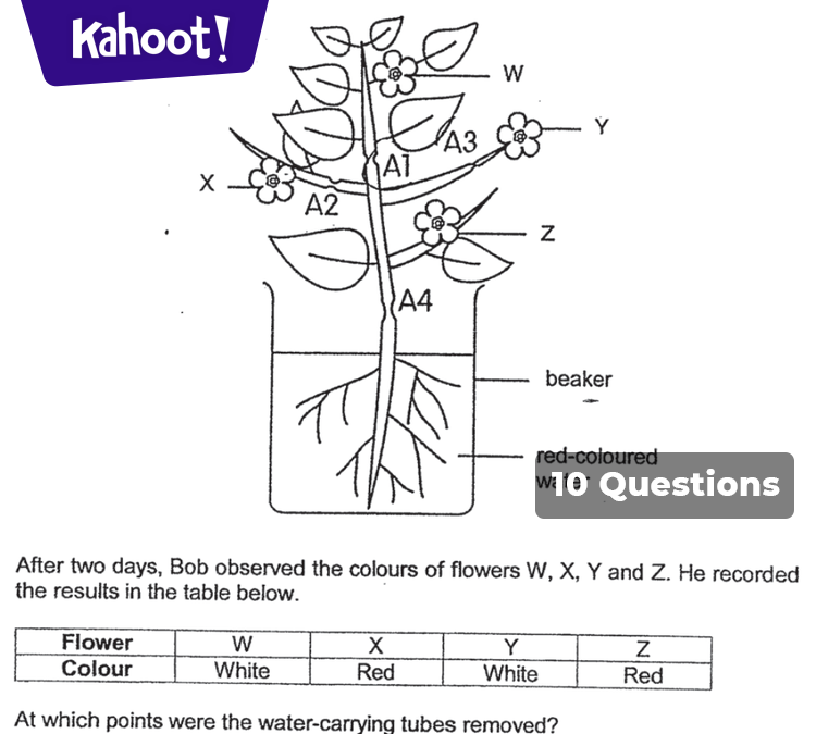 Plant Systems (15 December 2023) - Kahoot! Quiz