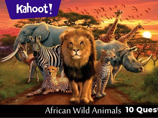 Wild Animals - Kahoot! Quiz