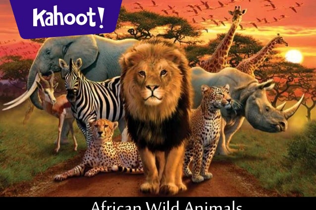 Wild Animals - Kahoot! Quiz