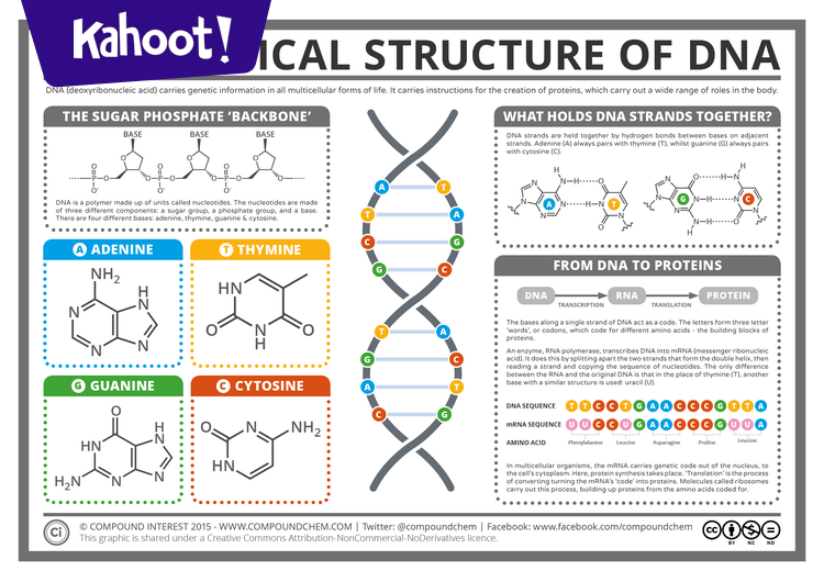 Protein Synthesis + Genetics Review - Kahoot! Quiz