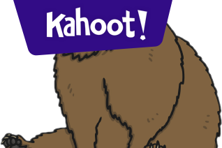 Where is the bear? - Kahoot! Quiz