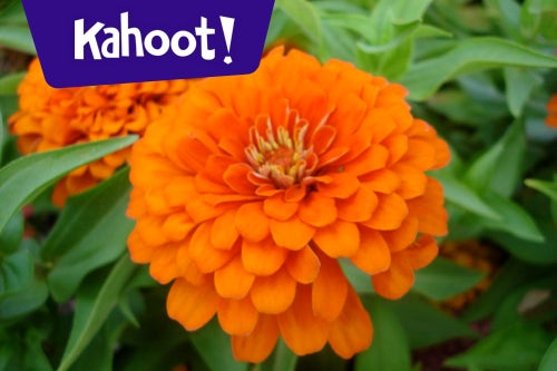 Plant Parts and their Function - Griffin G5 & G4 - Kahoot! Quiz