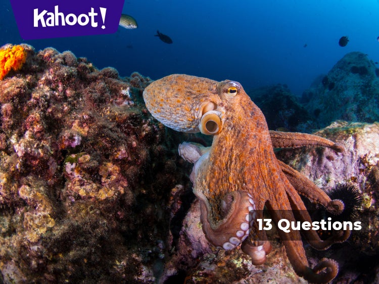 Octopus! @ The Explorers Club World Oceans Week 2022 - Kahoot! Quiz
