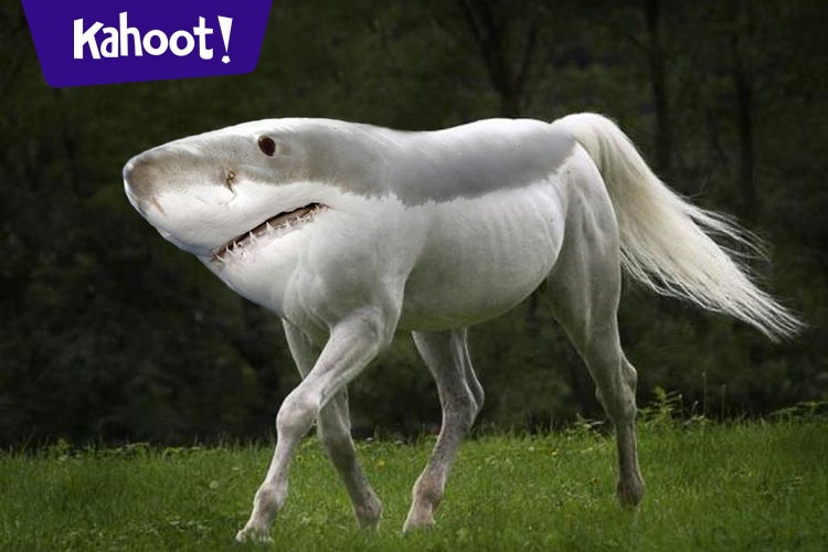 2021 AP Psych: Unit 14: Social Psychology - Kahoot! Quiz