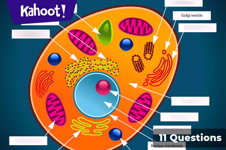 Parts of a cell - Kahoot! Quiz