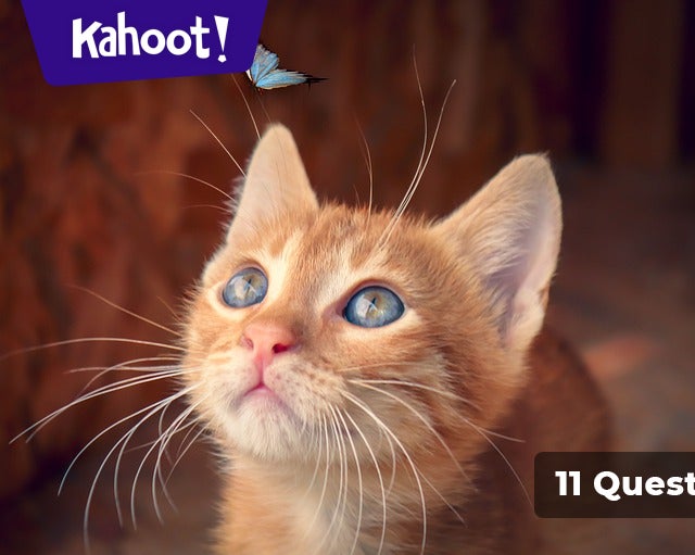 Baby Animal Image Reveal - Kahoot! Quiz