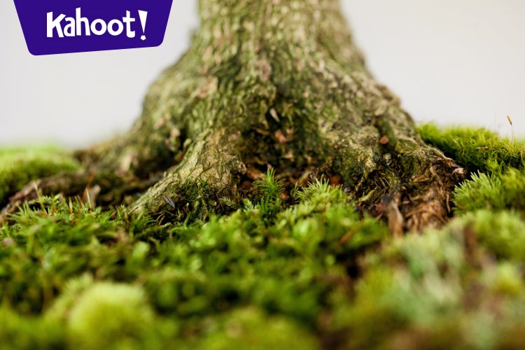 Greek & Latin Roots: gen, mort, viv, vit - Kahoot! Quiz