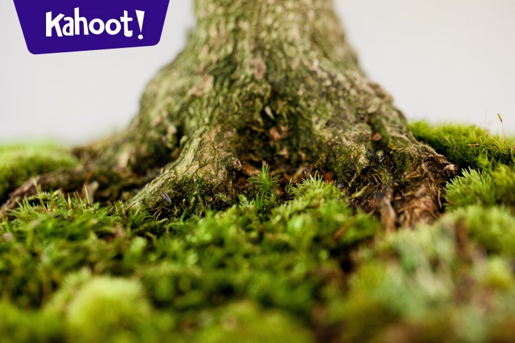 Greek & Latin Roots: gen, mort, viv, vit - Kahoot! Quiz