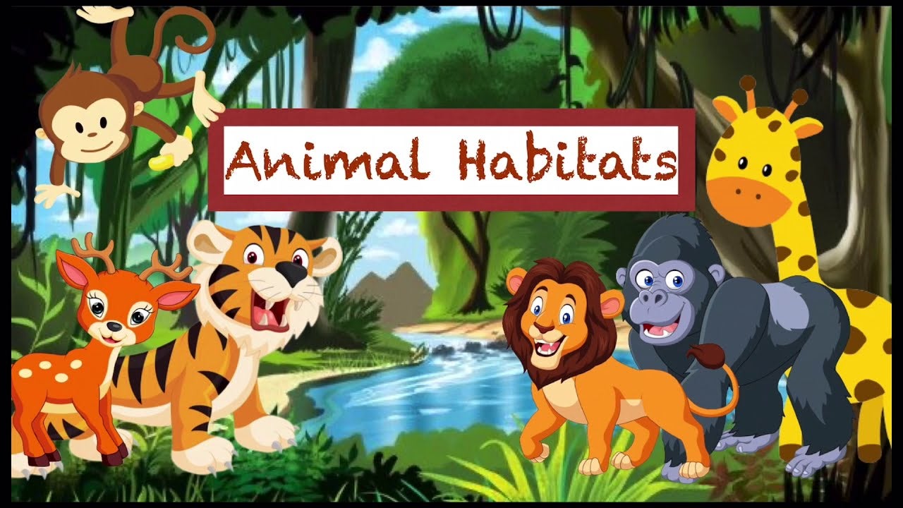 Where do they live? Animal Habitat - Kahoot! Quiz