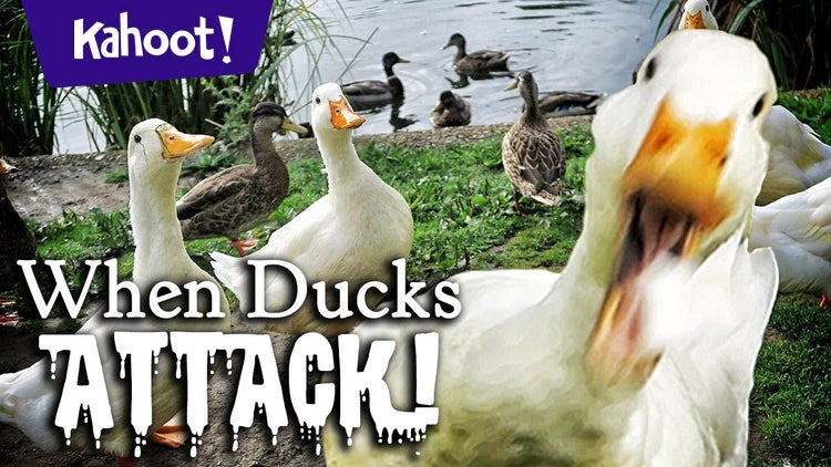Duck Facts, Fun and Trivia - Kahoot! Quiz