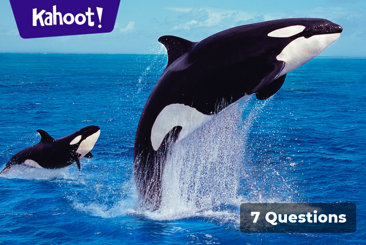 Orca Life (March 2022) - Kahoot! Quiz