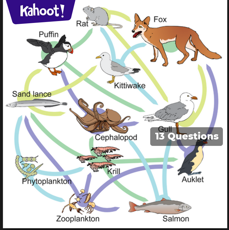 Food Web & Symbiosis (6th Grade Review) - Kahoot! Quiz